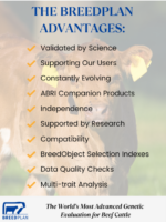 BREEDPLAN explained - FutureBeef