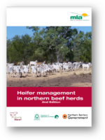 Heifer management - FutureBeef