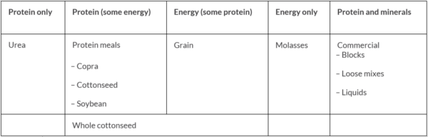 Planning and managing a supplement feeding program - FutureBeef
