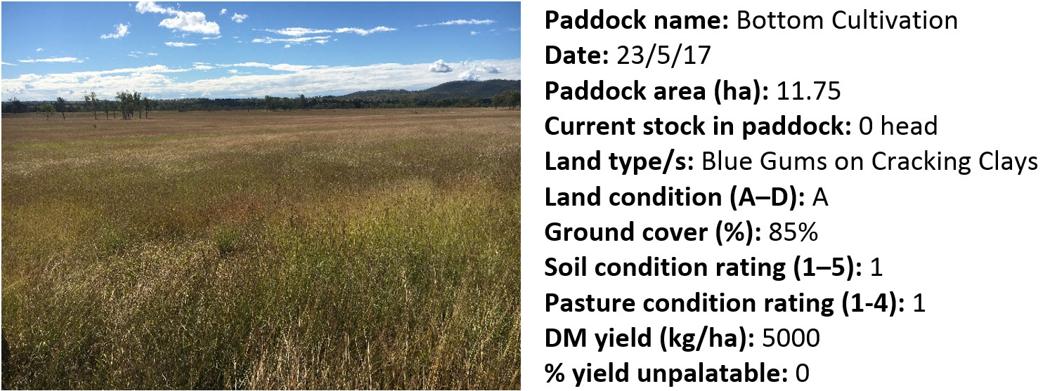 Forage budgeting - a valuable tool for pasture management at Brian ...