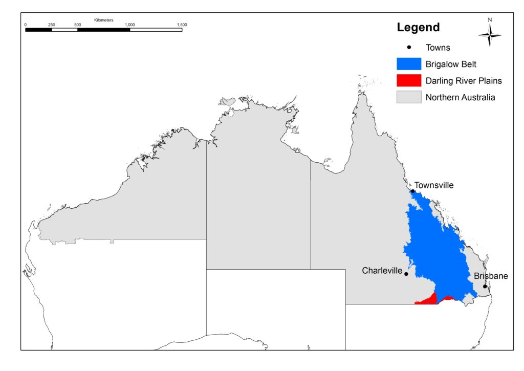 Legume BMP in the Brigalow Belt - FutureBeef
