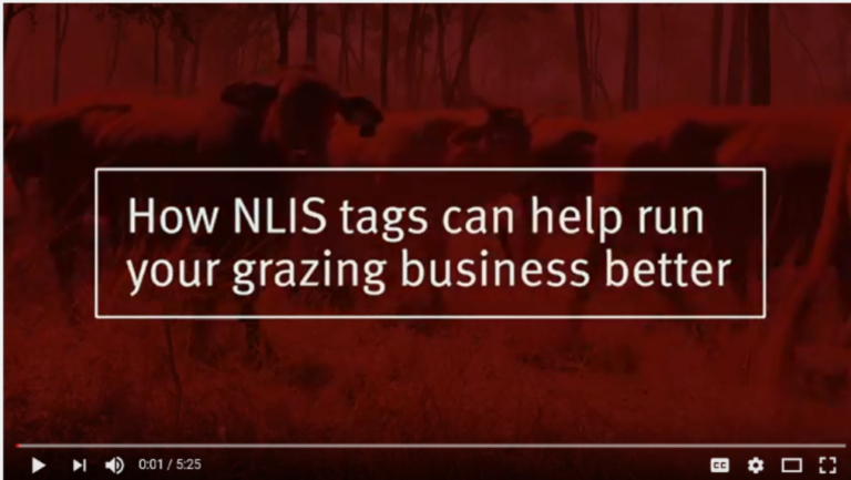 New video on making best use of NLIS tags available now - FutureBeef