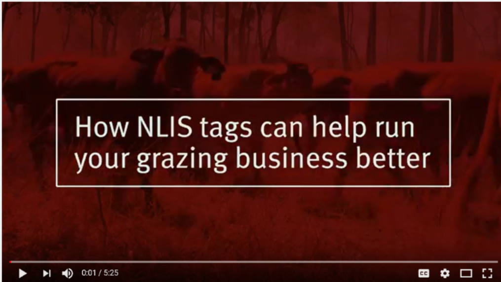 New video on making best use of NLIS tags available now - FutureBeef