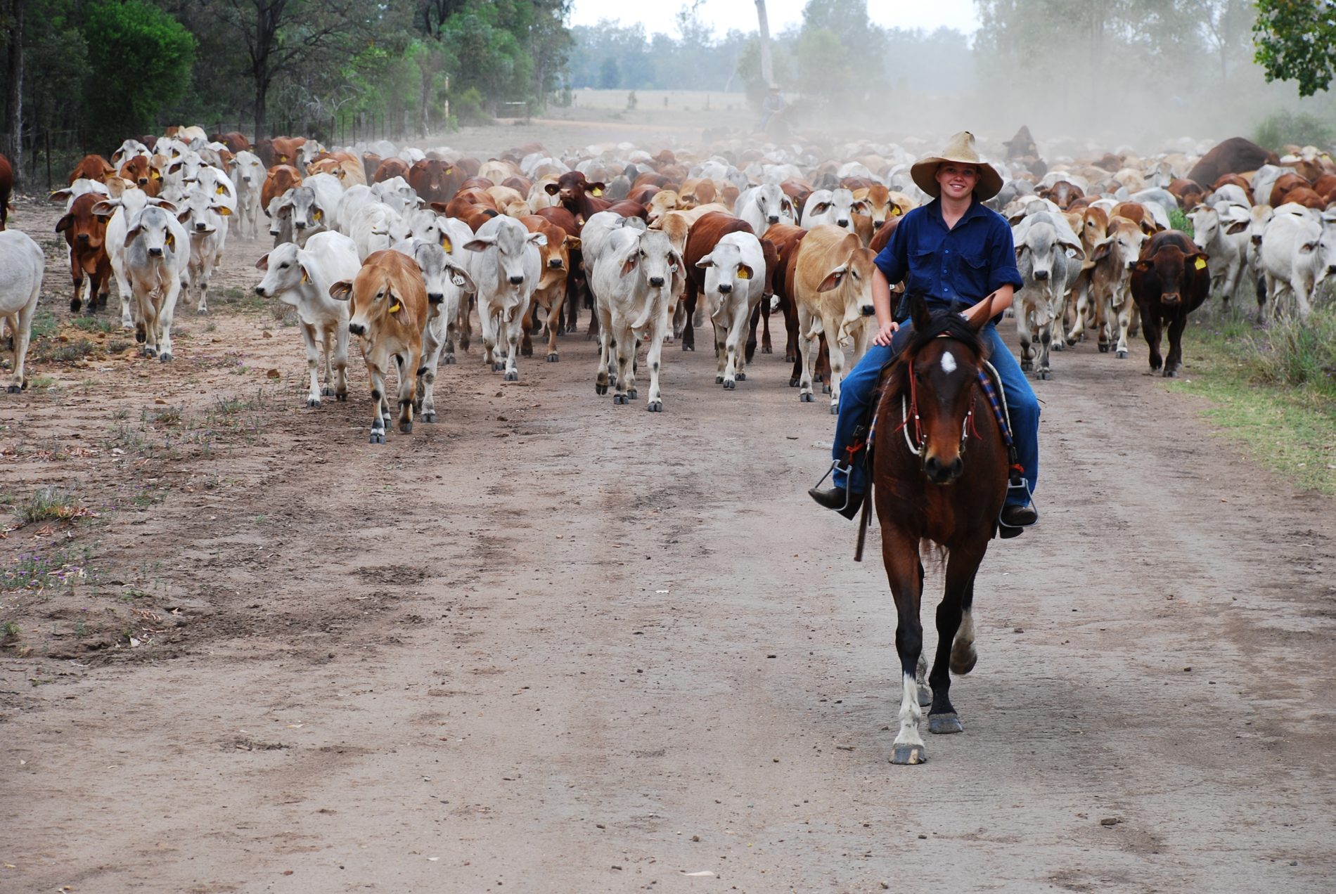 In the June edition of the FutureBeef eBulletin... - FutureBeef