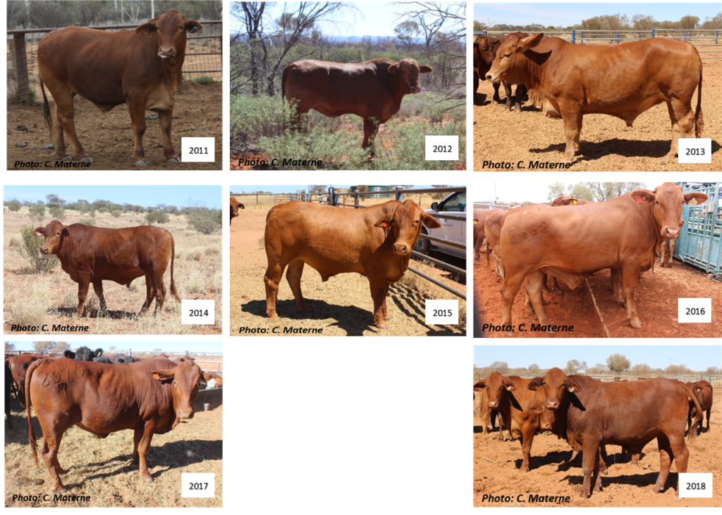 Quality Graze – so much more than a rotational grazing project ...