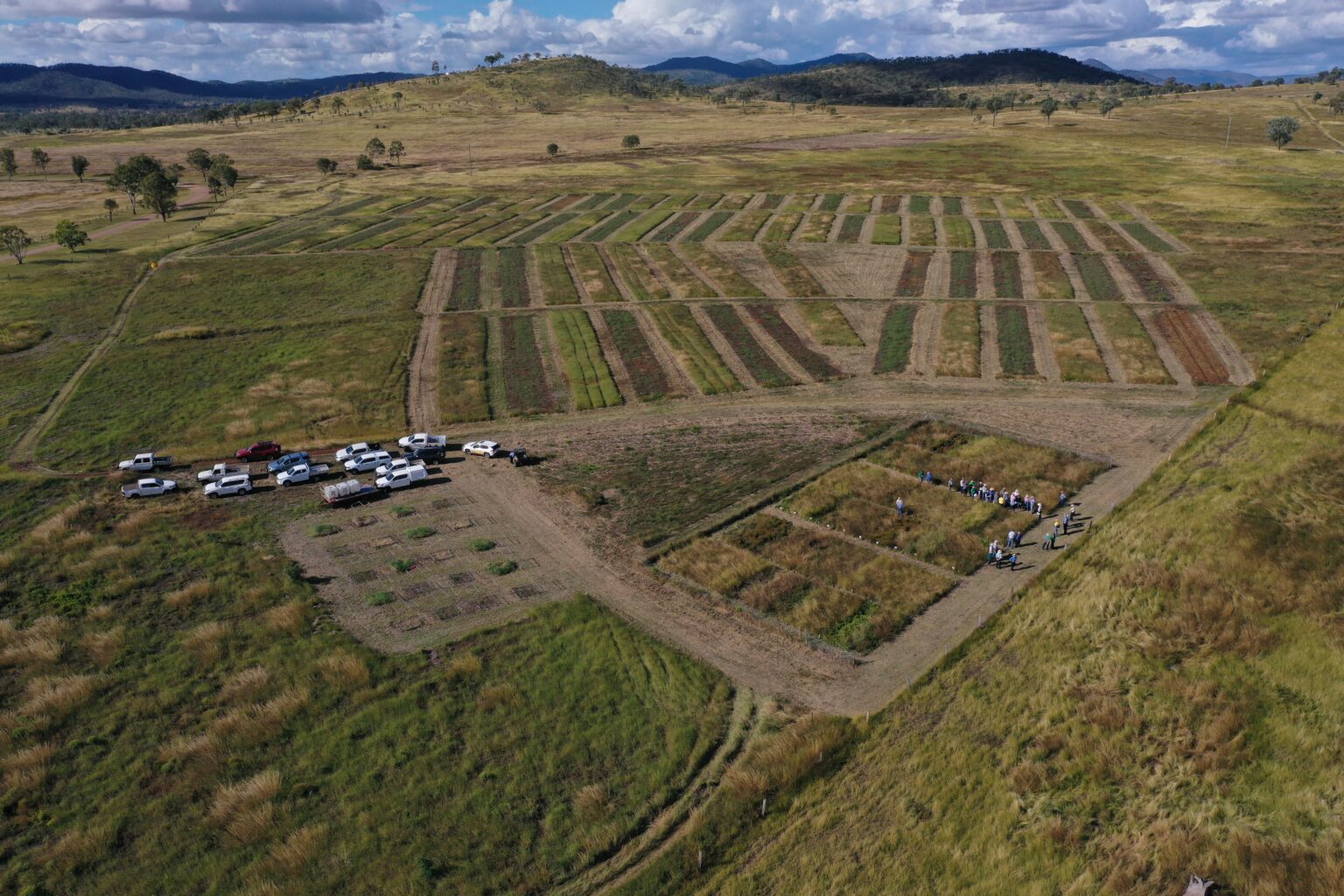 Pasture dieback field day a success - FutureBeef