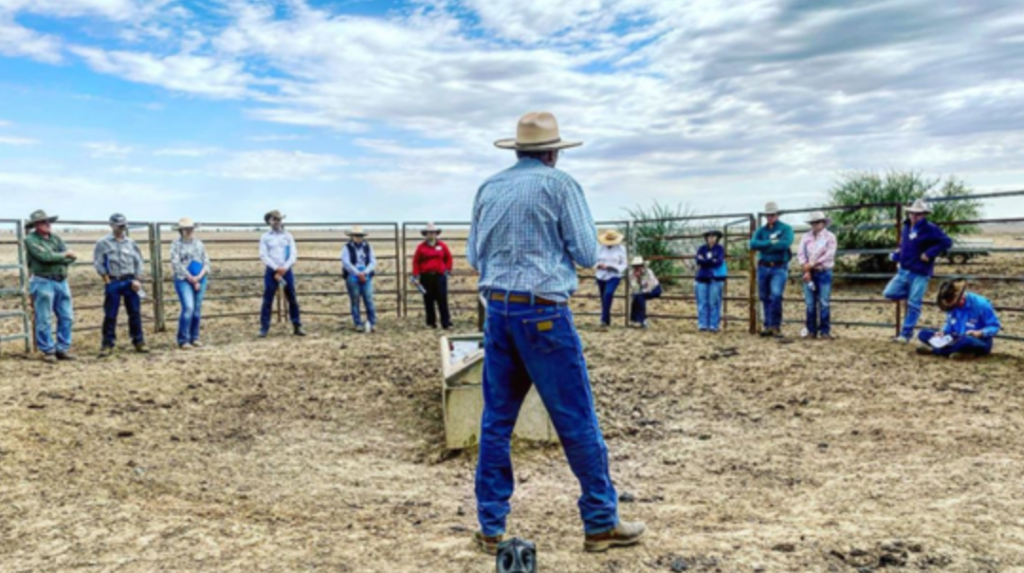 GrazingFutures Livestock Business Resilience — Event summaries - FutureBeef