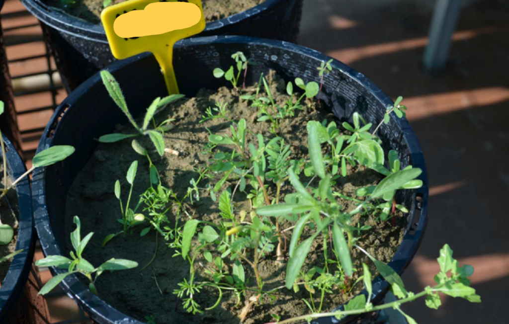 GrazingFutures Livestock Business Resilience — Projects - FutureBeef