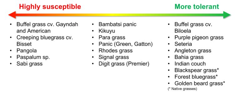 Pasture dieback management options well received by industry at field ...