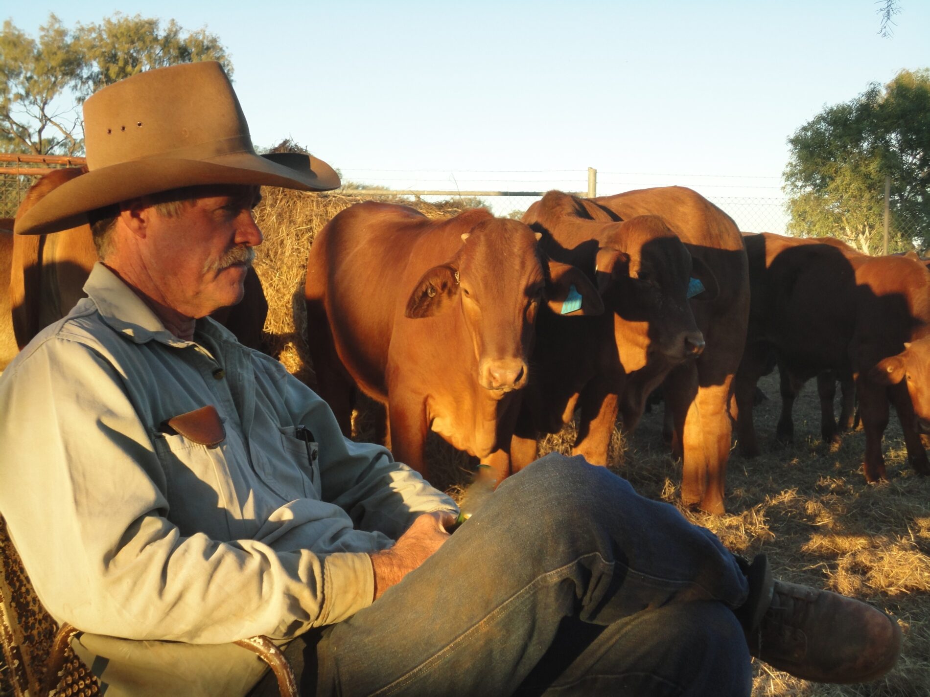A cattleman’s view of grazing land management - FutureBeef