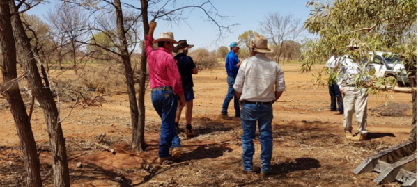Leaky weirs and low profile contour banks restore floodplain - FutureBeef