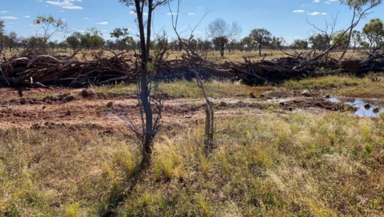 Leaky weirs and low profile contour banks restore floodplain - FutureBeef