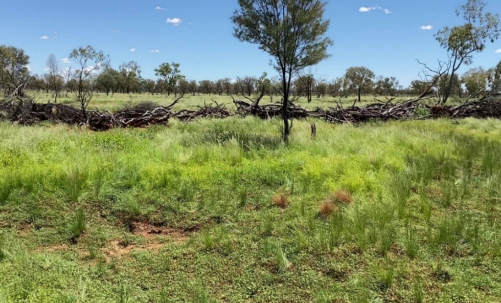 Leaky weirs and low profile contour banks restore floodplain - FutureBeef