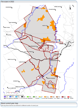 Upgraded satellite imagery improves fire scar reports - FutureBeef
