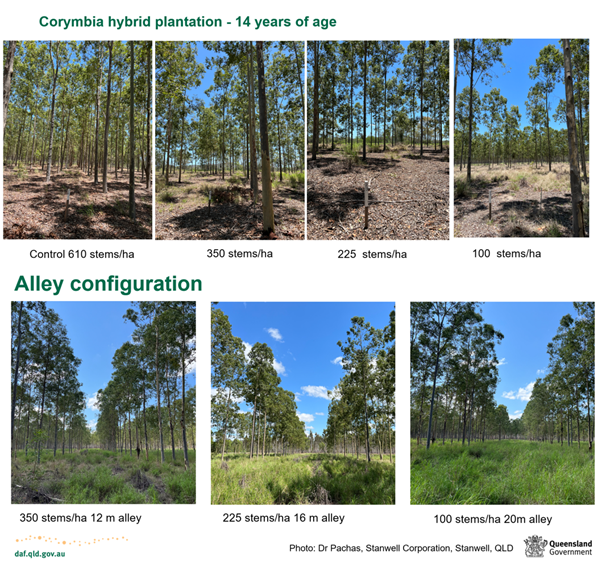 Steak 'n wood: demonstrating livestock productivity and environmental ...