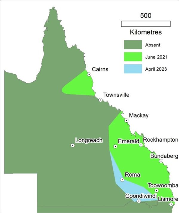 Pasture dieback — signs and symptoms - FutureBeef