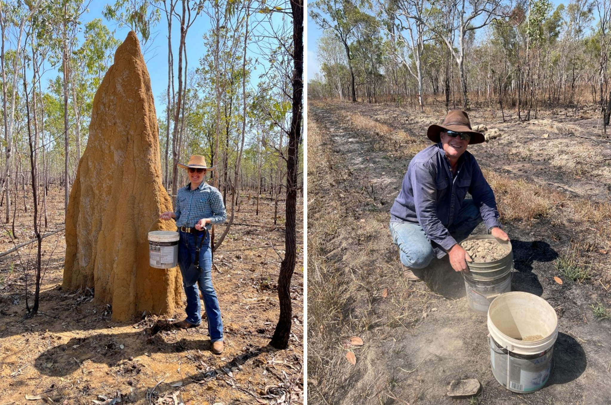 Updating the Phosphorus Map of Queensland - FutureBeef