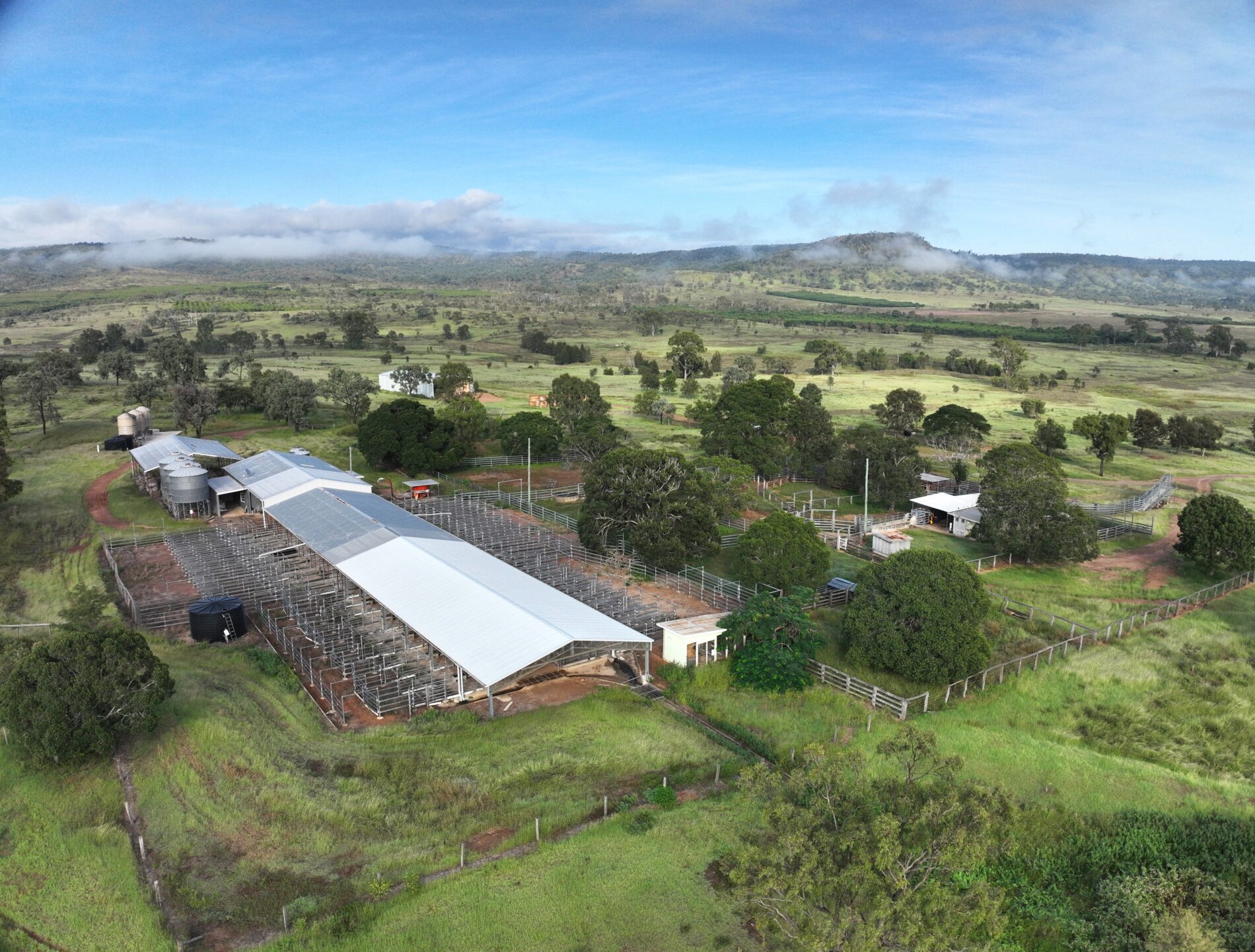 Brian Pastures Research Facility - FutureBeef