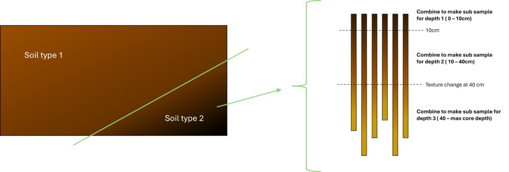 Soil testing for pastures - FutureBeef
