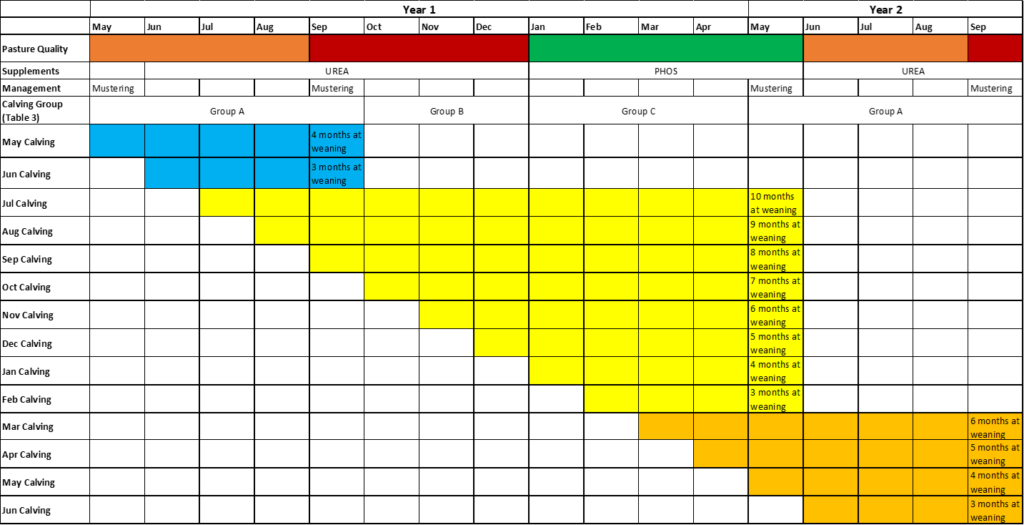 How to get the most out of your breeders in Northern continuous mating systems - FutureBeef