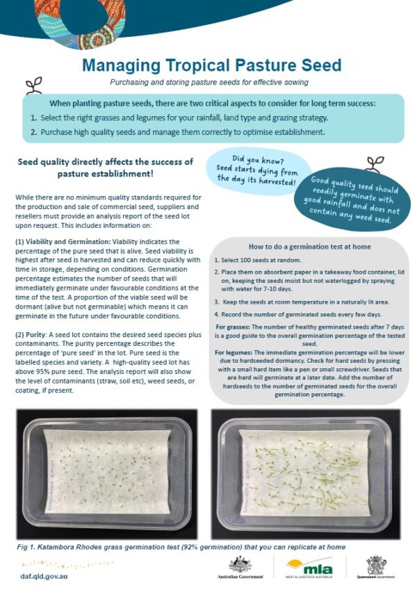 Managing tropical pasture seed - FutureBeef