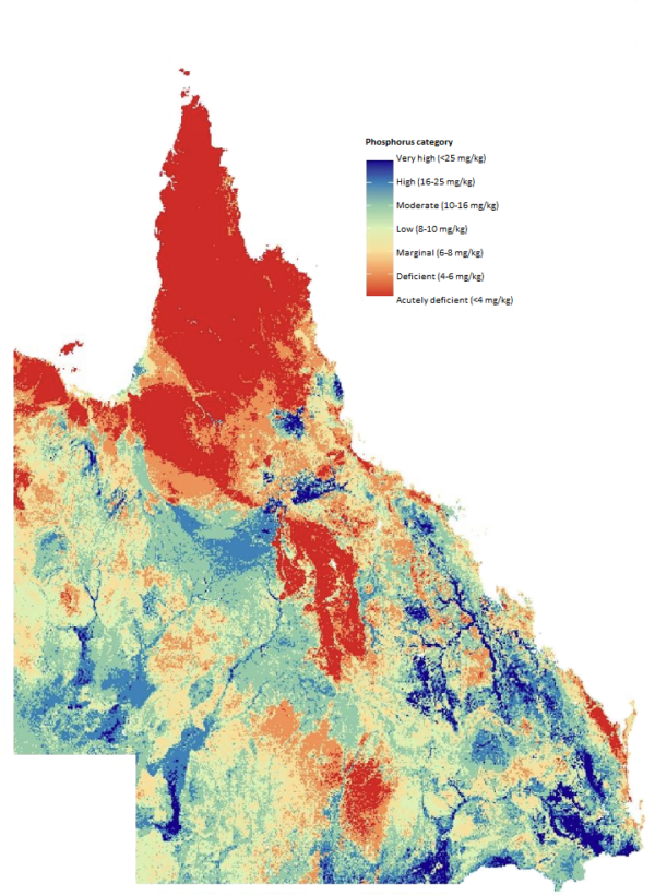 Updated soil phosphorus mapping now available in FORAGE - FutureBeef