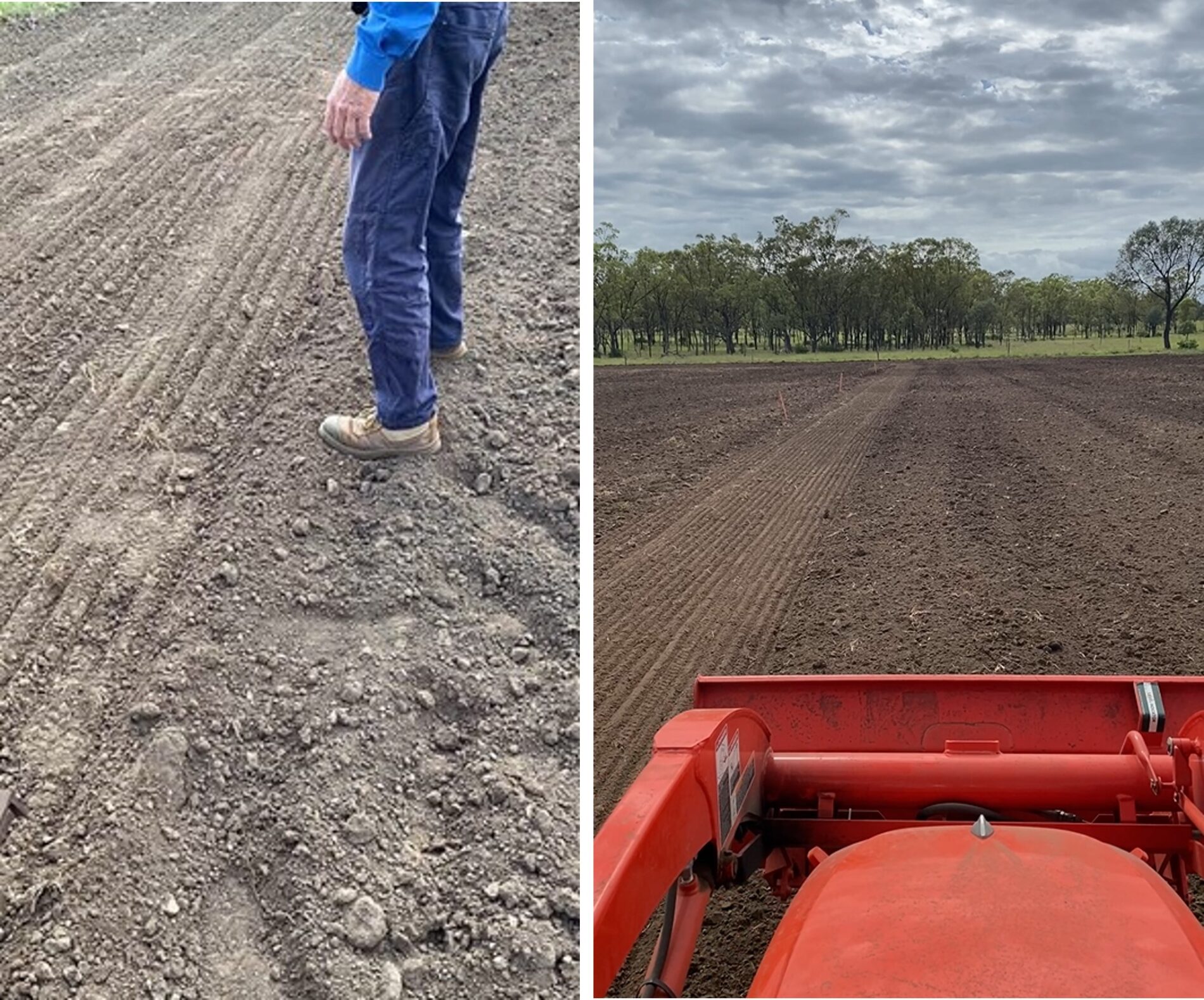 How to achieve good seed-soil contact when planting a pasture - FutureBeef