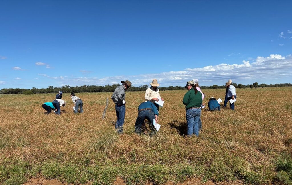 The footsteps to forage budgeting success! - FutureBeef